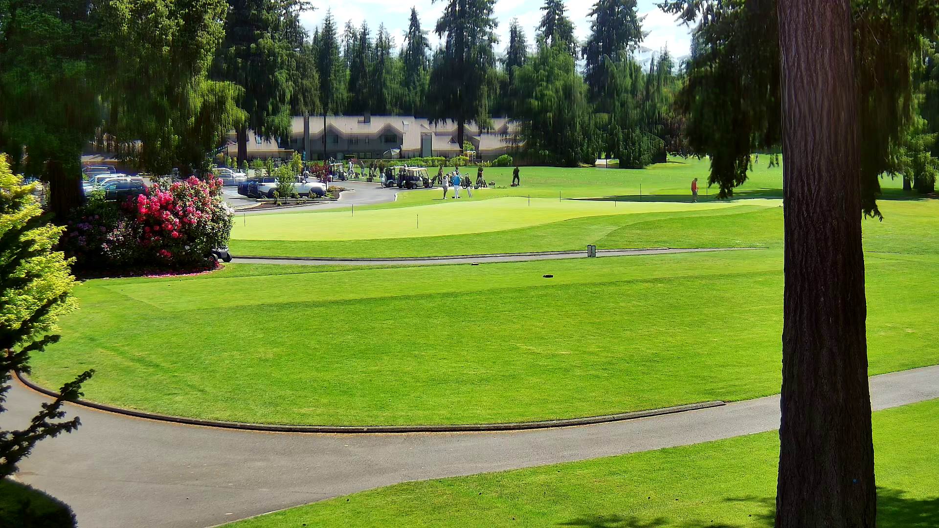 Inglewood Golf Club Cameras